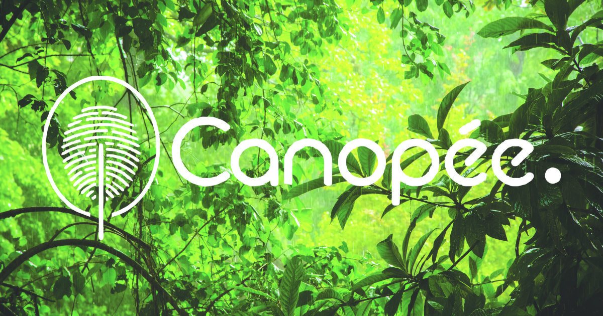 Canopée | Soluções em Créditos de Carbono e Sustentabilidade